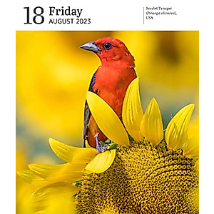 Audubon Birds Page-A-Day Gallery Calendar 2023: Hundreds of Birds, Expertly Captured by Top Nature Photographers