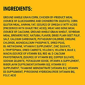 PEDIGREE Complete Nutrition Adult Dry Dog Food Roasted Chicken, Rice & Vegetable Flavor Dog Kibble, 46.8 lb.Bag