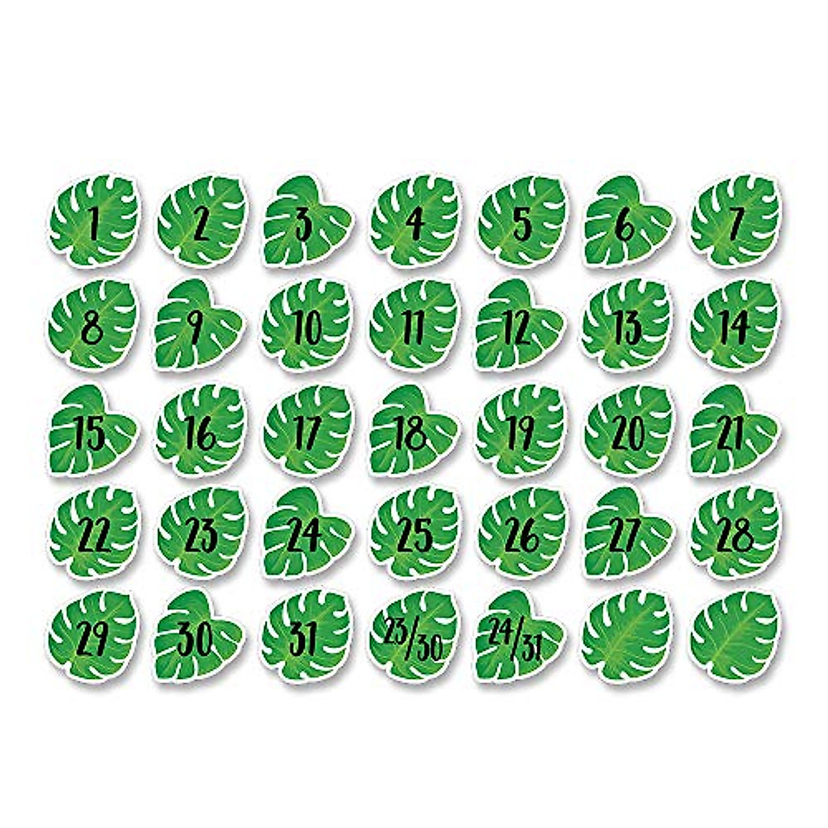 Creative Teaching Press Palm Paradise Monstera Leaves Calendar Days (10251)