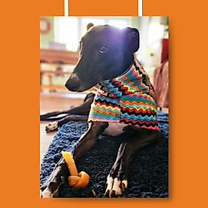 Benevo Vegan Pawtato Knots Large