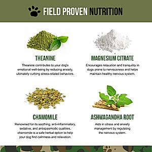 O.G.B. Operation Good Boy - SRE: Calming Supplement for Pets - 90 Count Soft Chews - 12.7oz - Alleviates Anxiety and Promotes Relaxation - Made Natural Ingredients - Veteran Owned