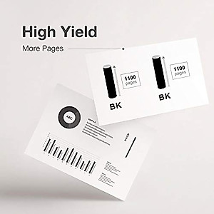 LEMERO Remanufactured Ink Cartridge Replacement for Epson 252 XL 252XL T252XL Used with Workforce WF-3640 WF-7710 WF-3620 WF-7720 WF-7210 WF-7620 WF-7610 Printer (2 Black, Combo Pack)