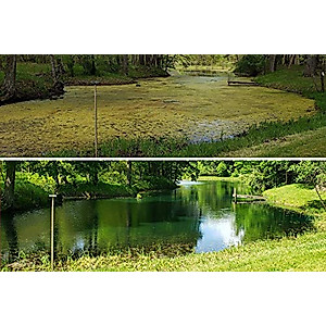 Crystal Blue Copper Sulfate Algaecide - Granular Aquatic Grade Copper Sulfate for Pond Algae Control - 5 Pounds