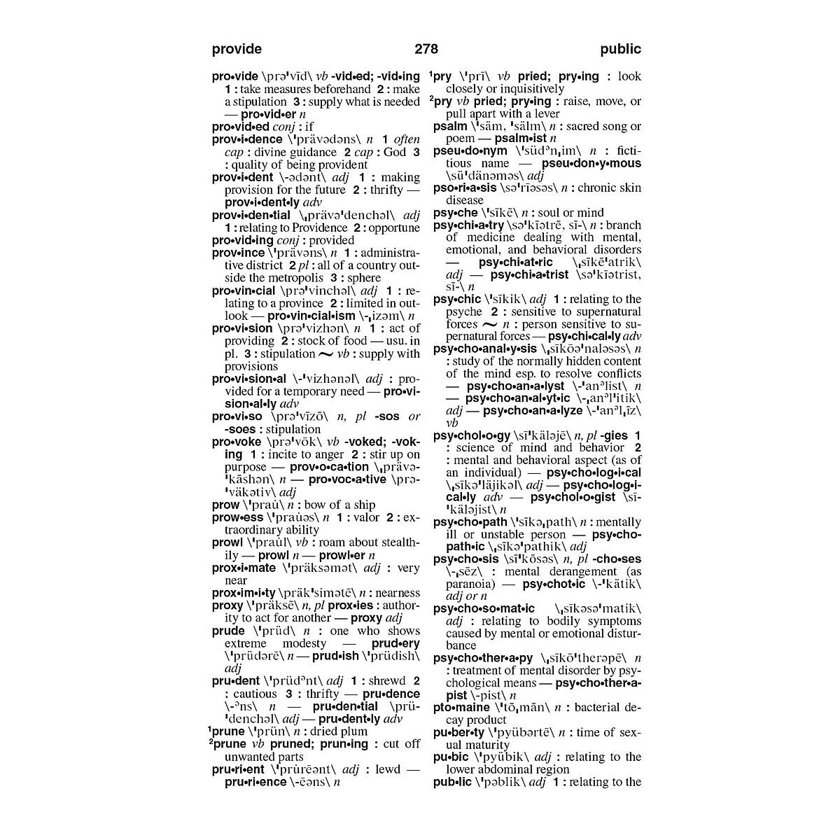 Merriam-Webster's Pocket Dictionary, Newest Edition, (Flexi Paperback) (Pocket Reference Library)