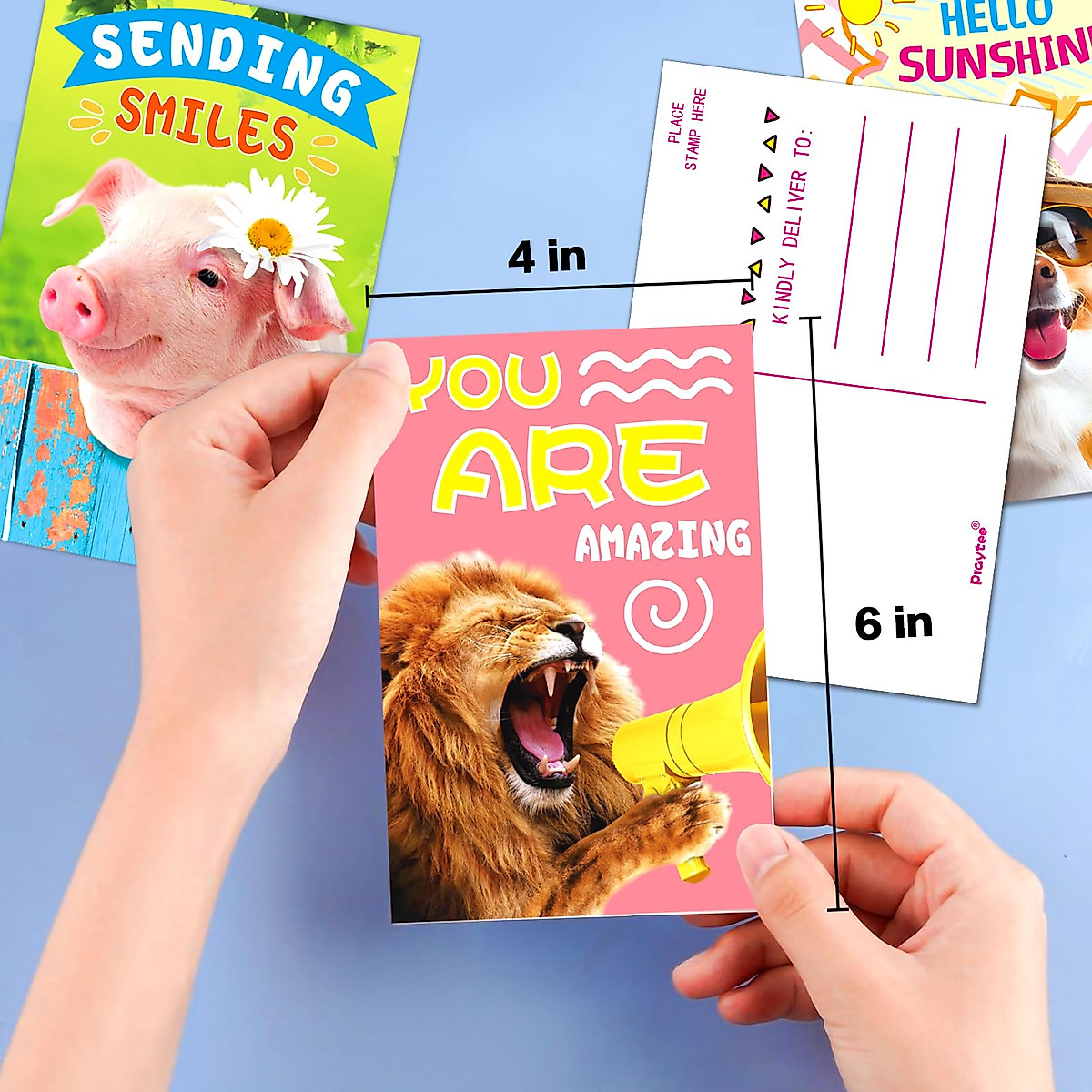 Funny Animal Postcards 58 Pack Unique Greeting Cards Thinking of You Missing You Note Cards 4x6 Postcards Gifts for Kids, Students, Friends, Teacher Adorable Kid Postcards