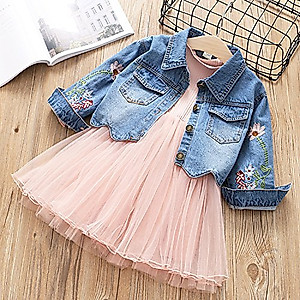Spring Autumn Little Girls Clothing Set Child Kids Denim Jacket and Long Sleeve Dress 2 Pieces Set (4T, Pink)