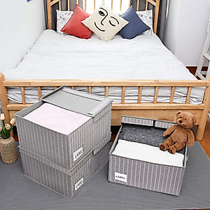 GRANNY SAYS Bundle of 2-Pack Closet Bins with Lids for Storage & 2-Pack Socks Storage Organizers