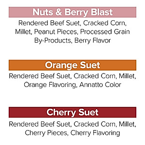 Blue Seal Berry Blend Suet Cakes for Wild Birds - No Mess Suet Feed, Food for Woodpeckers, Cardinals, Siskins, Sparrows & More - 11oz Suet Feeder, Bird Seed Cakes (Variety Pack of 6)