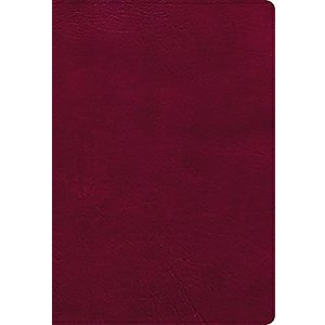 NASB Super Giant Print Reference Bible, Burgundy LeatherTouch, Indexed