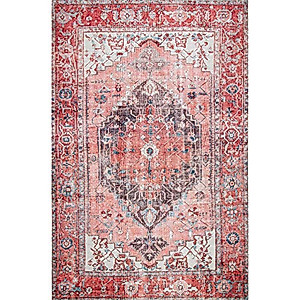 nuLOOM Ada Transitional Area Rug, 5' x 8', Pink Multi