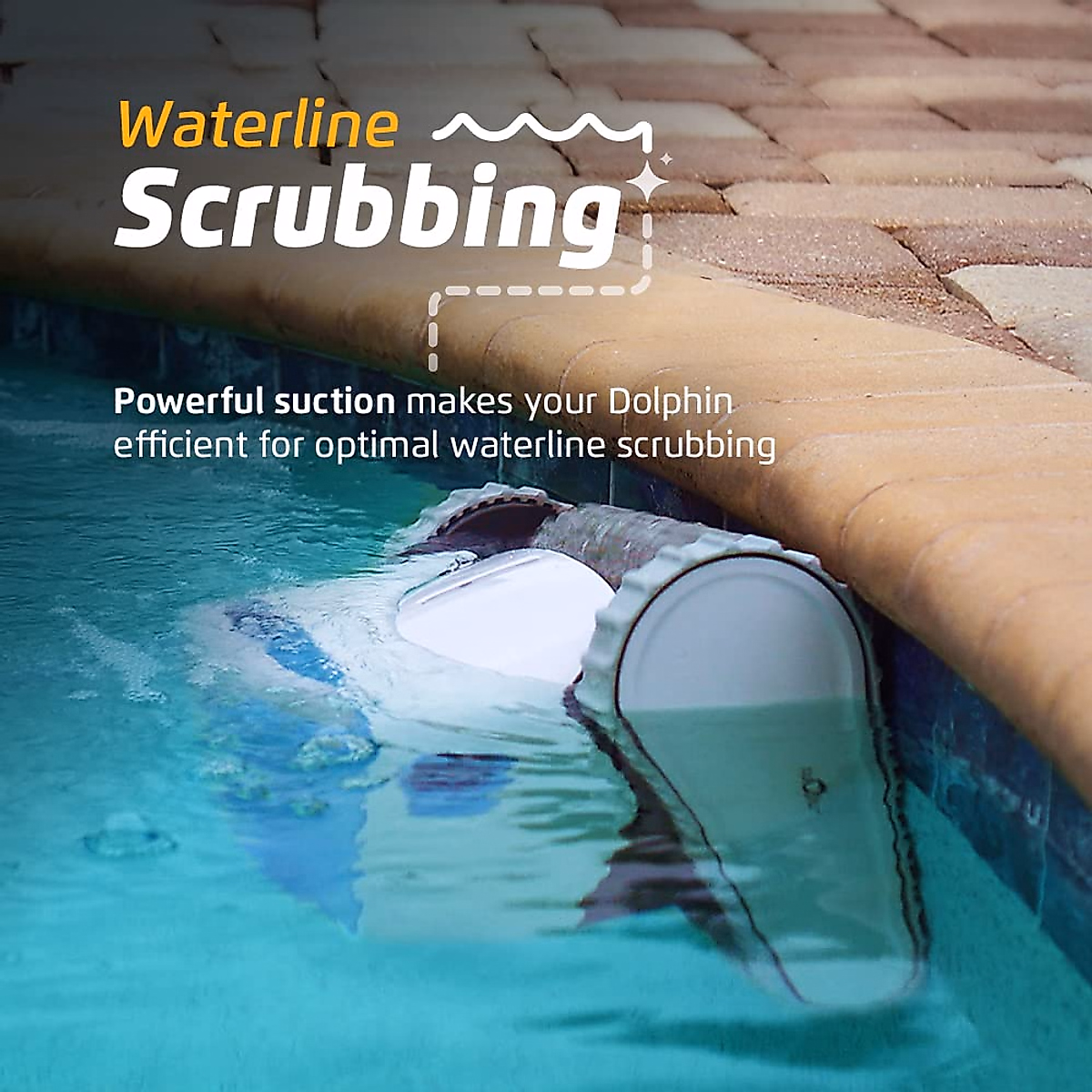 Dolphin Proteus DX4 Automatic Robotic Pool Vacuum Cleaner Includes Caddy for Easy to Transport and Storage, Ideal for In-Ground Pool up to 50 FT in Length