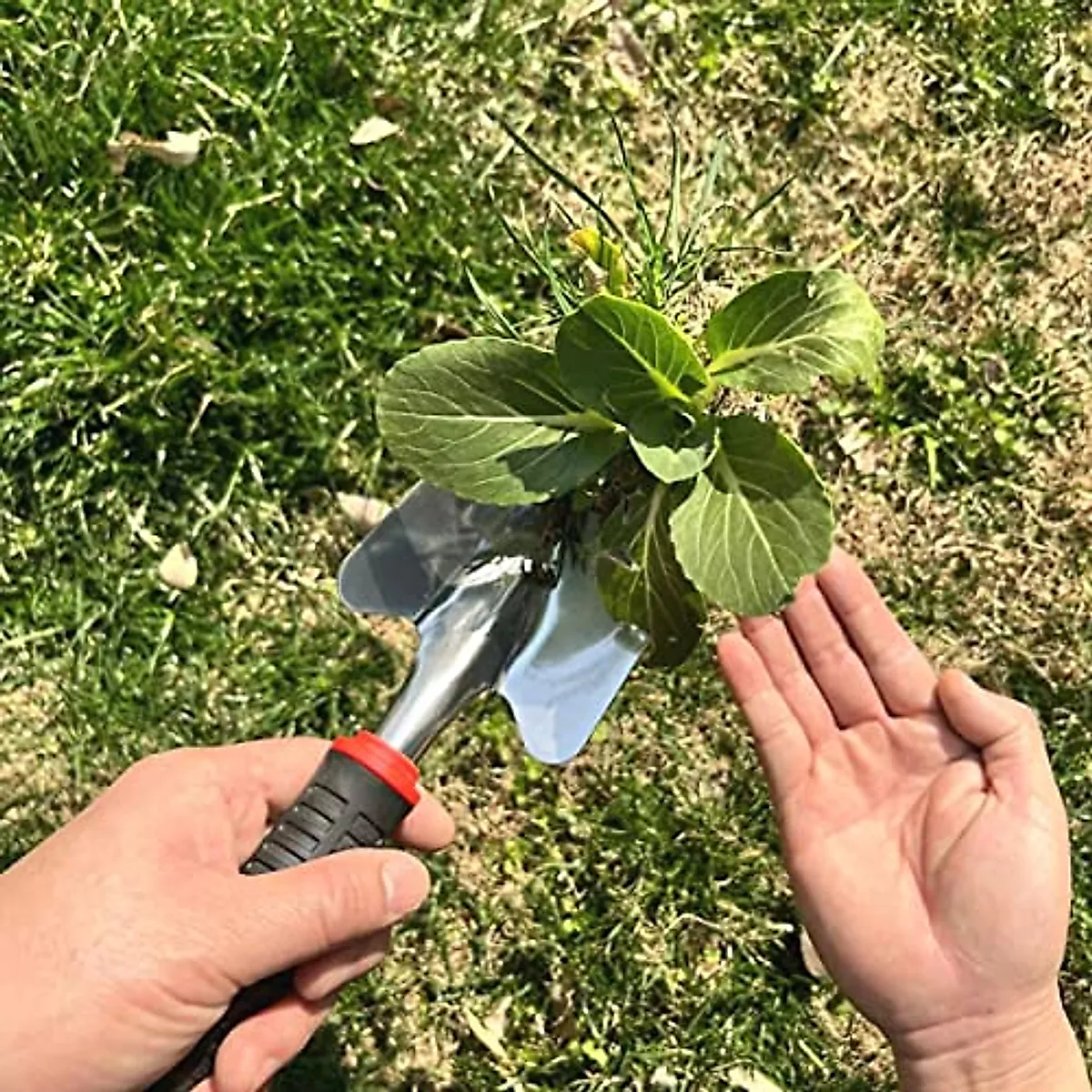 Zog Polished Stainless Steel Garden Trowel - Bend-Proof,Hand Shovel Garden Tool,Best for Digging & Planting, for Use in Any Vegetable or Flower (XXL)