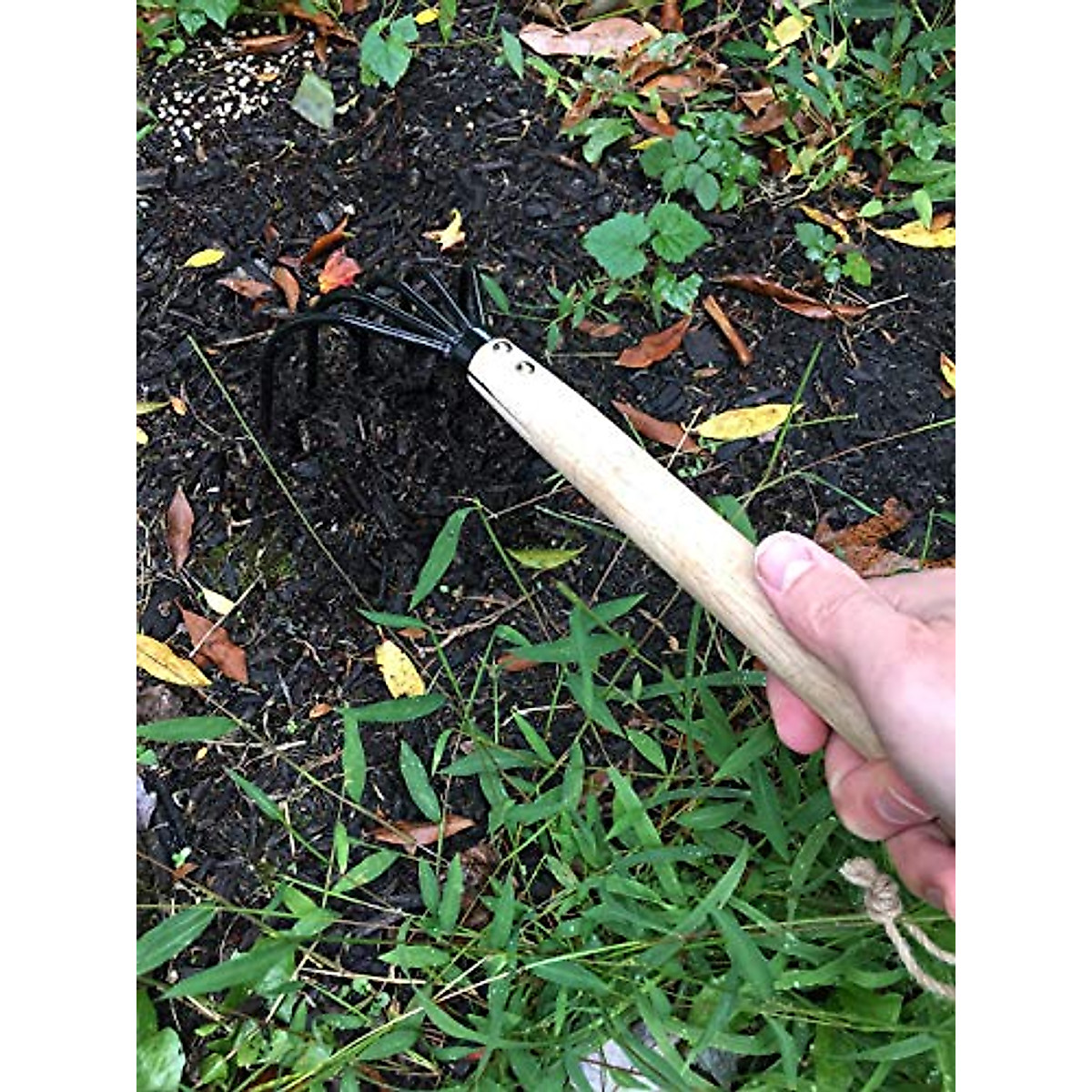 Garden Guru Hand Rake Cultivator Claw Soil Tiller - Military Grade Steel - Rust Resistant - 5 Tine Japanese Ninja Claw - Comfortable Wood Handle - Perfect Pulverized and Aerated Soil