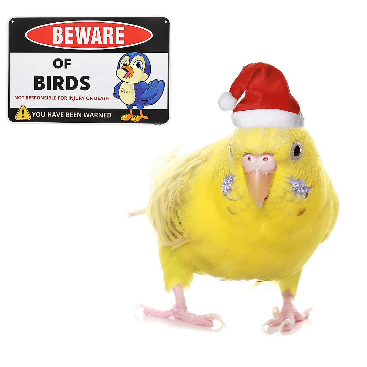 Venicor Bird Sign Decor - 8 x 12 Inches - Aluminum - Bird Gifts for Bird Lovers Women Owners - Bird Decorations for the Home Accessories Wall Art Stuff