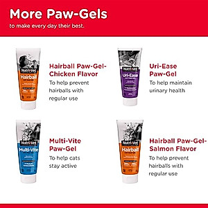 Nutri-Vet Cat Hip & Joint Paw Gel | Cat Joint Supplement | Glucasomine, MSM, and Chondroitin | Tasty & Easy to Give | 3 Ounce Tube