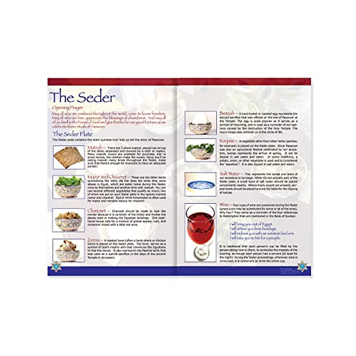 30 Minute Seder: The Haggadah That Blends Brevity With Tradition