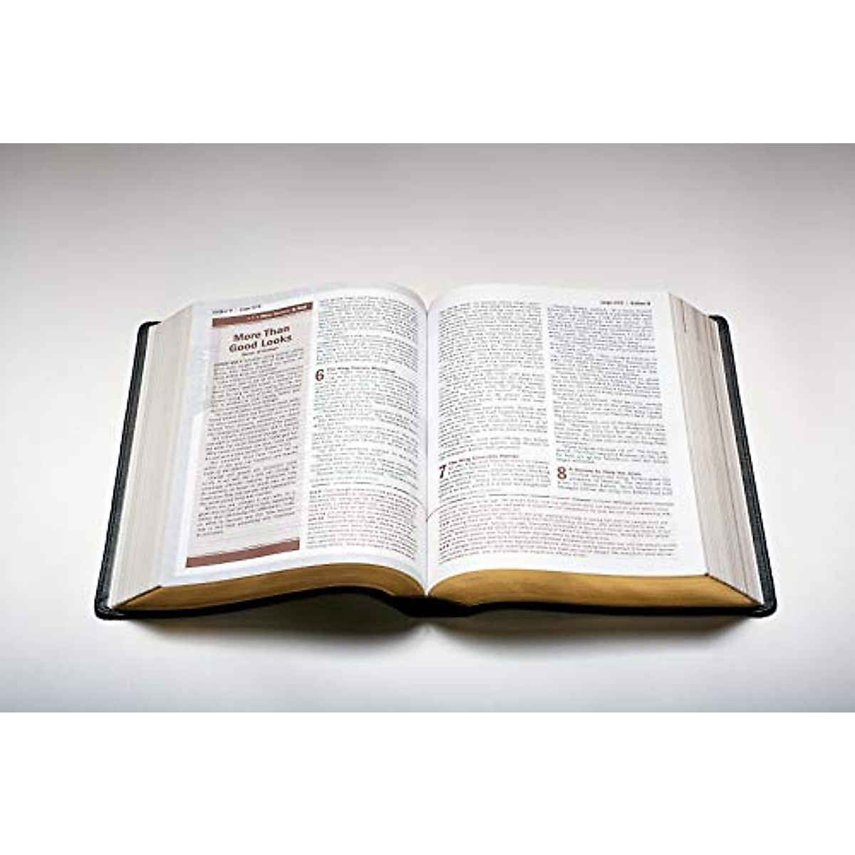 Every Man's Bible: New Living Translation, Large Print, TuTone (LeatherLike, Brown/Tan) – Study Bible for Men with Study Notes, Book Introductions, and 44 Charts