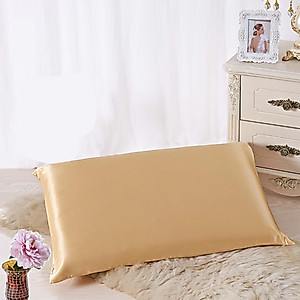Hodeco Nature Silk Pillowcase 14x20 Inches Champagne Double Side 19 Momme Thick Silk Pillowcase for Hair and Skin 36x51CM 100% Mulberry Silk Bed Pillow Cover Toddler Size, Golden, 1 Piece