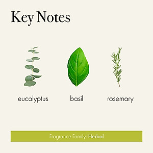 LAFCO New York Signature Reed Diffuser, Rosemary Eucalyptus - 15 oz - Up to 9 Months Fragrance Life - Reusable, Hand Blown Glass Vessel - Natural Wood Reeds - Made in The USA