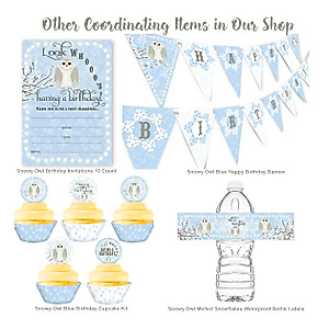 POP parties Snowy Owl Birthday Party Invitations - Blue - 10 Invitations 10 Envelopes