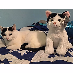 Shelter Pets Series One: Nibbles The Cat - 10" White and Black Kitten Plush Toy Stuffed Animal - Based on Real-Life Adopted Pets - Benefiting The Animal Shelters They were Adopted from