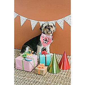 Elegant little tail Dog Bandanas - 1Pack Brithday Gift Washable Female Dog Scarf Square Dog Bib Kerchief Scarf Adjustable pet Bandana for Medium Large Girl Dogs