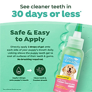 TropiClean Clean Teeth Gel for Puppies | No Brush Puppy Dental Gel | Puppy Toothpaste | Puppy Tooth Gel for Small Dogs | Made in the USA | 2.2 oz.