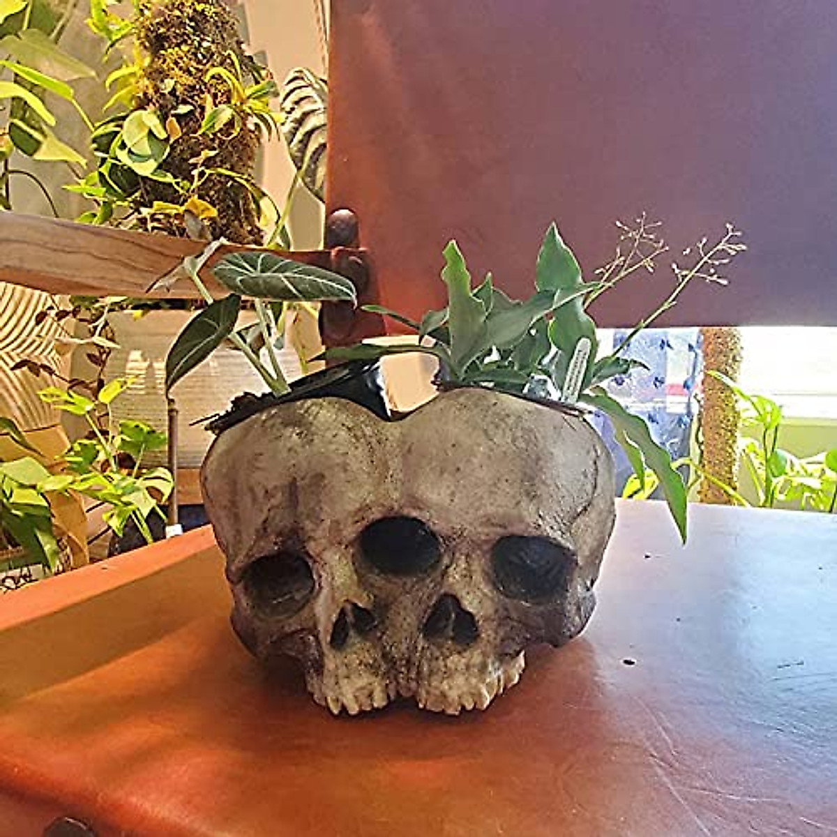 BEFOKA Resin Skull Planter, Gothic Retro Skull Head Flower Succulents Pot, Outdoor Indoor Garden Planter, Gothic Statue Sculpture Skeleton Decor (A)