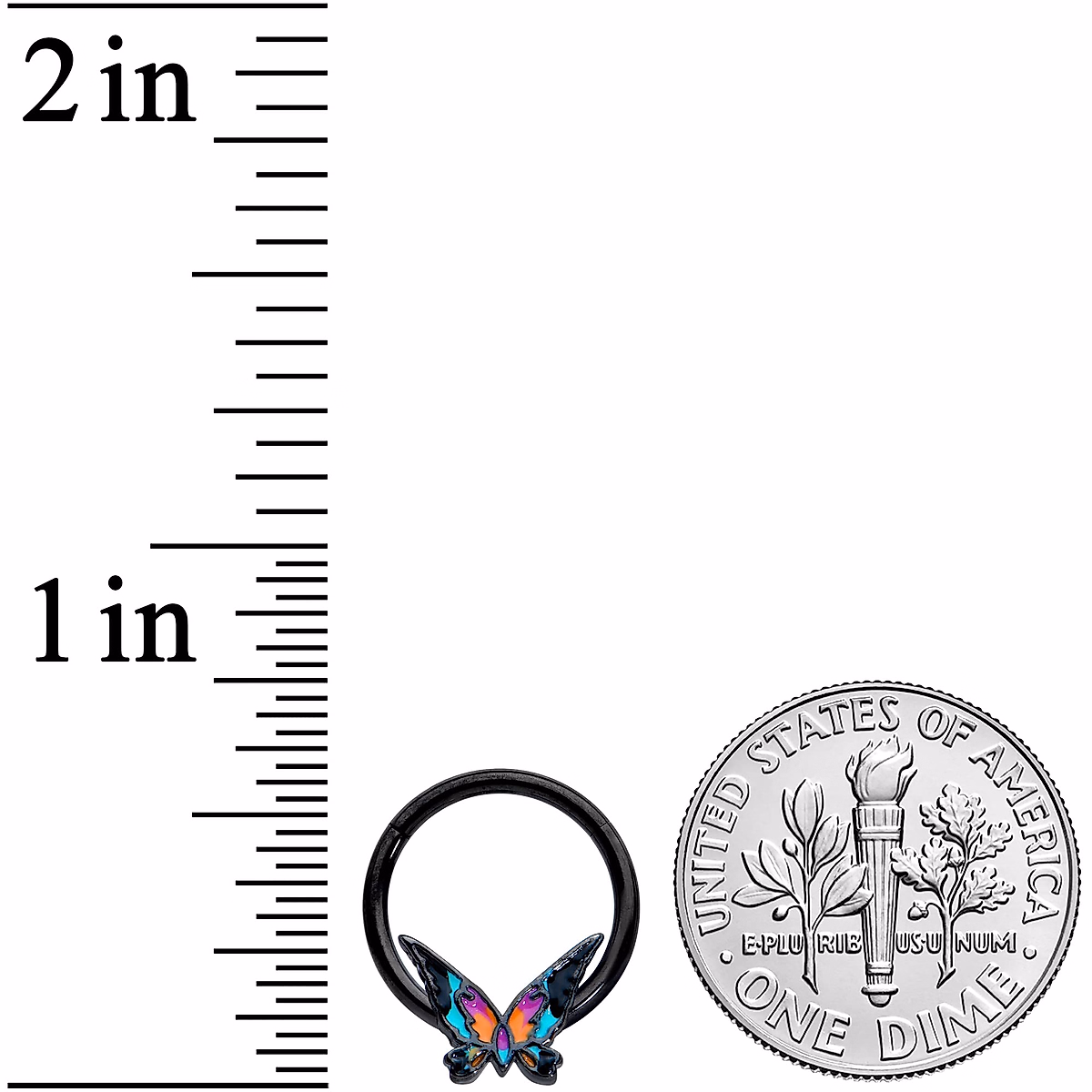 Body Candy Womens 16G Black Plated Steel Hinged Seamless Segment Cartilage Nipple Ring Sunset Butterfly 3/8"