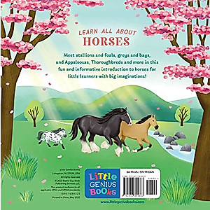 Little Genius Horses