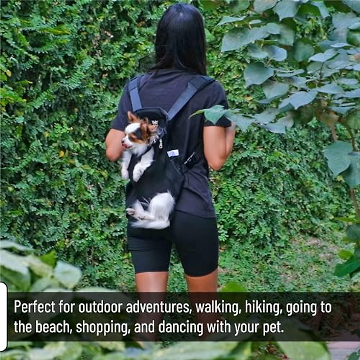 Mr. Pen- Pet Adjustable Dog Carrier Backpacks, Hiking Travel Backpack, Puppy Backpack, Dog Front Carrier
