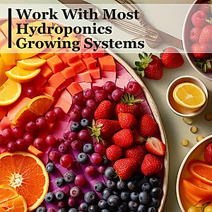 Hydroponics Supply Seed Pods Kit for Growing System, Seed Starter Pods for Indoor Garden, 50pcs Grow Sponges for AeroGarden, 15 Baskets, A&B Hydroponic Nutrients, Work with Idoo and Other Hydroponics