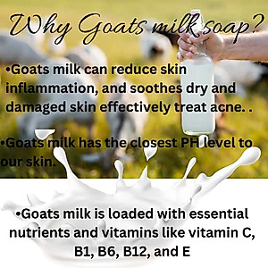 The Alice Gallery Cold Process Soap-Handmade- Goatmilk face and body wash bar/All-Natural Turmeric & Activated Charcoal Tea tree oil/Peppermint