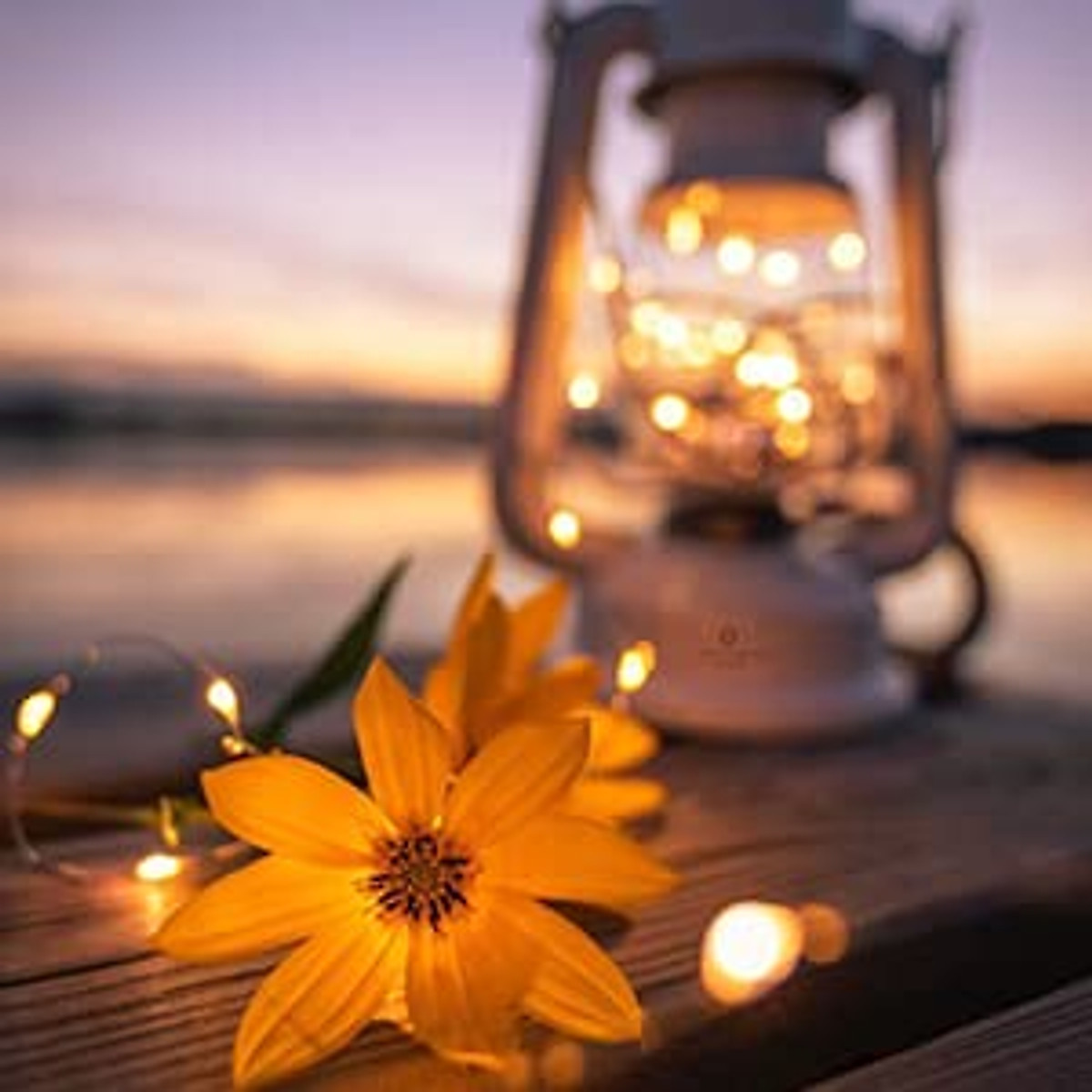 koopower 2X 50 LED Orange Battery Operated Fairy Lights with Remote Control 16ft Christmas Lights for Tree, Thanksgiving, Garden, Wedding, Bedroom Outdoor Decoration