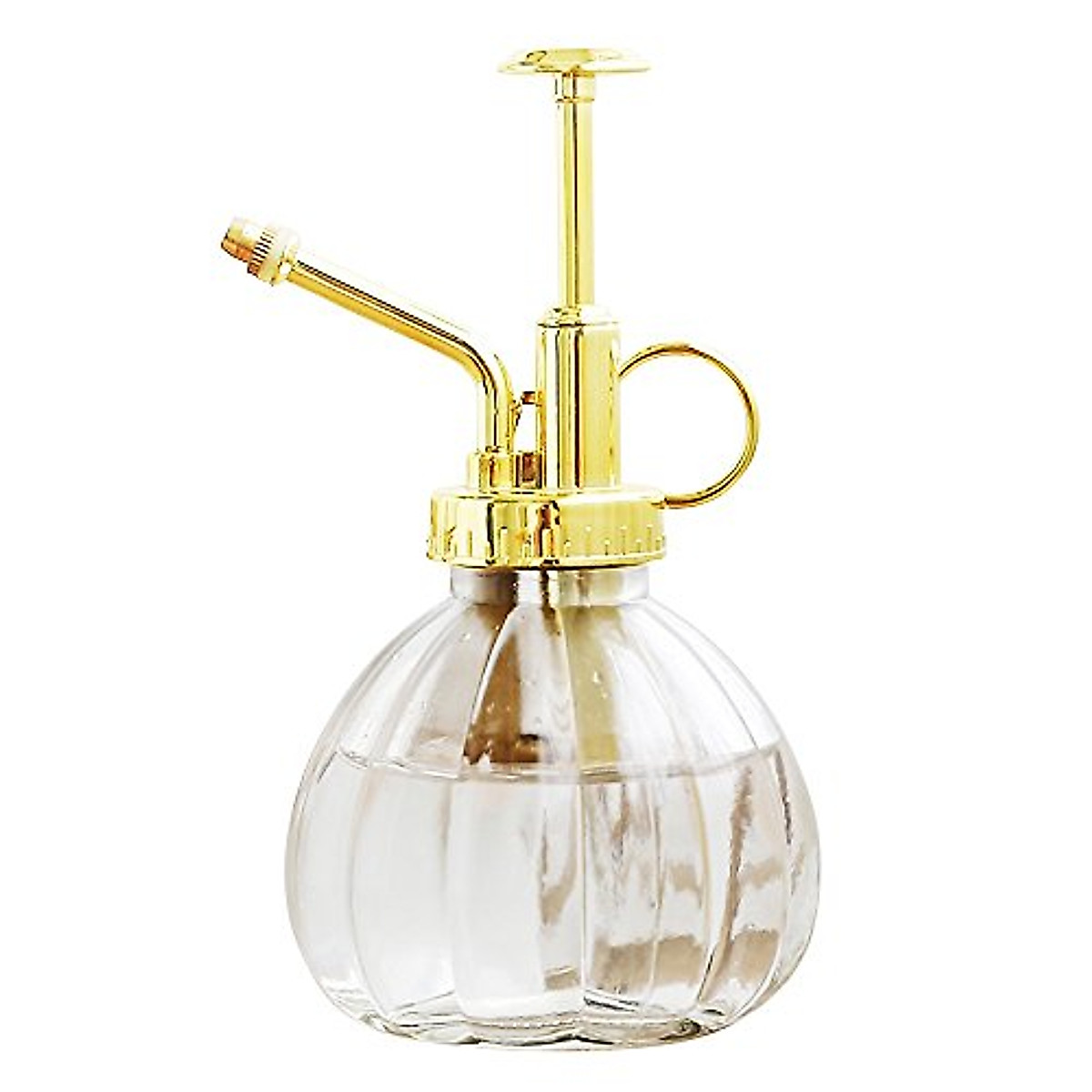 Plant Mister, 6.5" Tall Decorative Glass Water Spray Bottle with Gold Top Pump Small Watering Can by Ebristar - Clear
