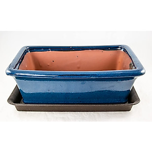 Calibonsai Rectangular Glazed Bonsai Pot, Cactus & Succulent Planter + Tray + Mesh 12 x 9 x 4 - Dark Blue Stain