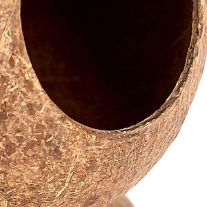 JIANGSHUANG Hamster Natural Coconut Shell hut Gerbil Small Animal Habitat Decoration Hamster Hiding House pet cave nest