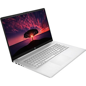 HP 17.3'' FHD IPS Display Business Laptop, AMD Ryzen 5 5500U Processor, Windows 10 Pro, 16GB RAM, 512GB SSD, Wi-Fi, Bluetooth, Webcam, Fingerprint Reader, Long Battery Life, Durlyfish