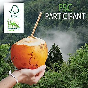 Friendly Straw 300 Pack Biodegradable Kraft Paper Straws, 7.75" x .25" Drinking Paper Straw Bulk Pack