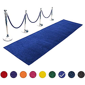 Event Carpet Aisle Runner - Quality Plush Pile Rug with Backing, Binding in Various Sizes (3 X 30 ft, Bright Royal Blue)