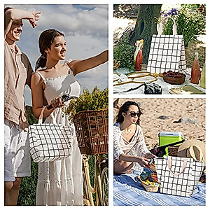 HOMESPON Reusable Lunch Bag Insulated Lunch Box Canvas Fabric with Aluminum Foil, Lunch Tote Handbag for Women,Men,Office (White Plaid)