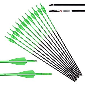 Carbon Arrows 28 Inch Targeting Practice Hunting Arrow Fluorescence Color for Compound Bow and Recurve Bow with 100 Grain Removable Tips (Pack of 12)