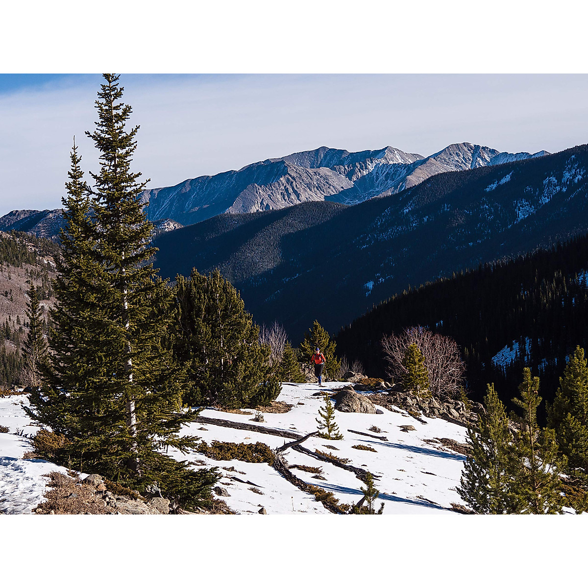 NORTHERN LITES Backcountry Tru-Track Blue Snowshoe