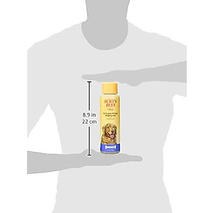 Burt's Bees for Pets Itch Soothing Dog Shampoo with Honeysuckle and Aloe Vera - Cruelty Free, Fragrance Free Dog Anti Itch Shampoo for Sensitive Skin, Dry Skin Relief for Dogs, 16 Fl Oz