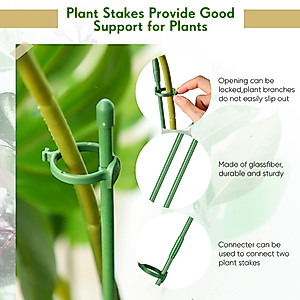 30 Pcs Adjustable Plant Support Stakes Garden Single Stem Support Stake Plant Cage Support Rings with Plant Clips and Connect Pipe for Orchid Rose Tomato, 12 Inch (Green)