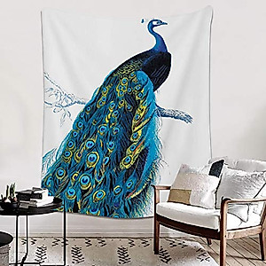 Flannel Fleece Bed Blanket 50 x 60 inch Peacock Throw Blanket Lightweight Cozy Plush Blanket for Bedroom Living Rooms Sofa Couch - Peacock Stand On Branch Wildlife Colorful Tropical Animals