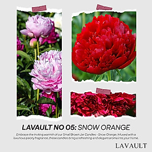 Lavault Jar Candles Set of 3 - Aromatherapy Candle Set for Supports Stress, Better Sleep, and Improve Mood - 100% Natural Soy Wax with Essential Oils - Snow Orange