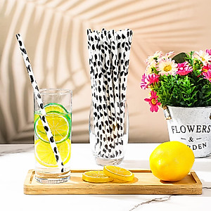 Suclain Cow Print Reusable Plastic Straws Black Tumbler Straws Animal Cow Straws with 2 Cleaning Brush for Cow Birthday Party Supplies(26 Pieces)