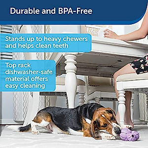 PetSafe Busy Buddy Interactive Dog Toy and Treat Dispenser, Calming Chamomile Scent - Great for Fast Eating, Bored or Anxious Dogs - Pack of 2