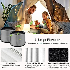 Skydiras A231 Air Purifier Replacement Filter Size O, Compatible with Winix A231 and A230 Air Purifier 1712-0100-00, 3-in-1 H13 Grade True HEPA Filter, 2 Pack